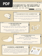 UNEV Instructivo para Seleccion PROBUS ACADEMY | PDF