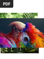 UNEV Instructivo para Seleccion PROBUS ACADEMY | PDF