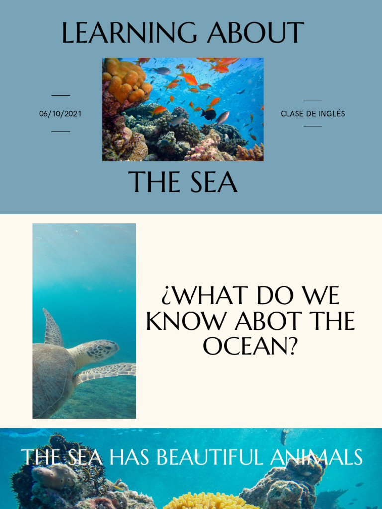 Learning About The Sea | PDF