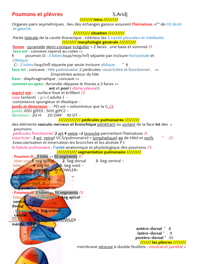 Anatomie des poumons et plèvres | PDF | Poumon | Système respiratoire