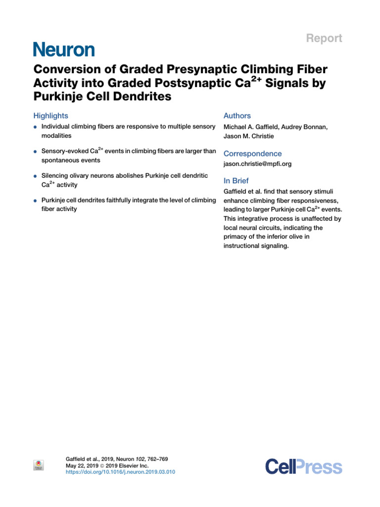 Conversion of Graded Presynaptic Climbing Fiber Ac | PDF | Cerebellum ...