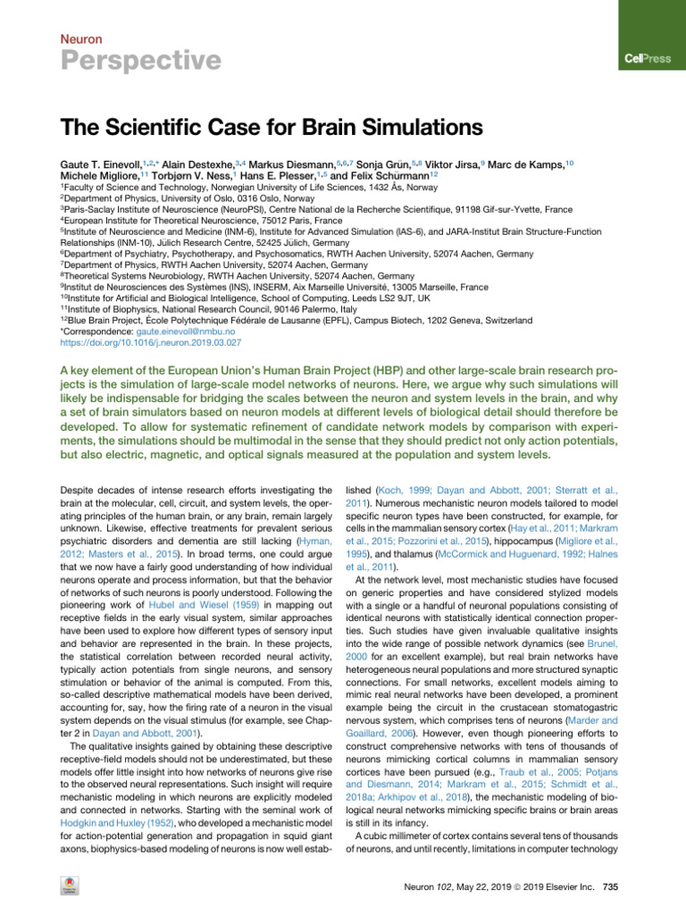 Scientific Basis for Brain Simulations | PDF | Brain | Action Potential