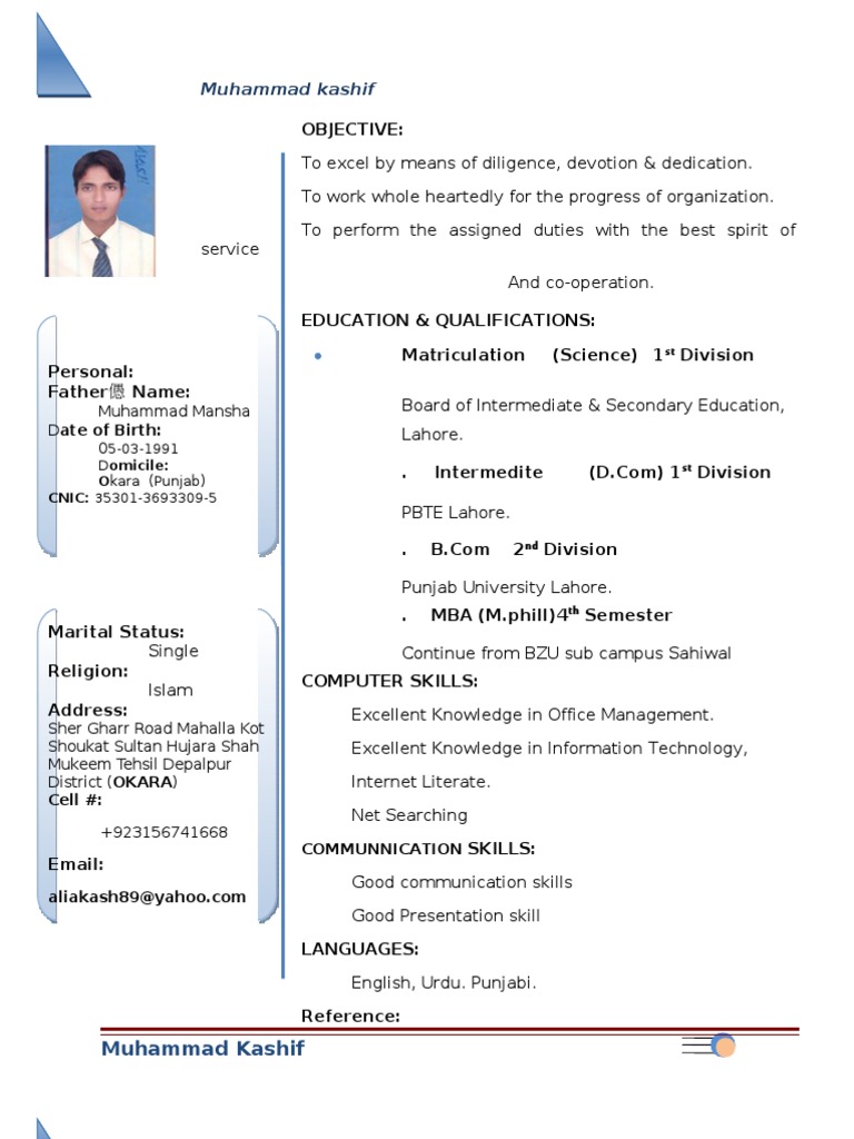 Kashif CV | PDF