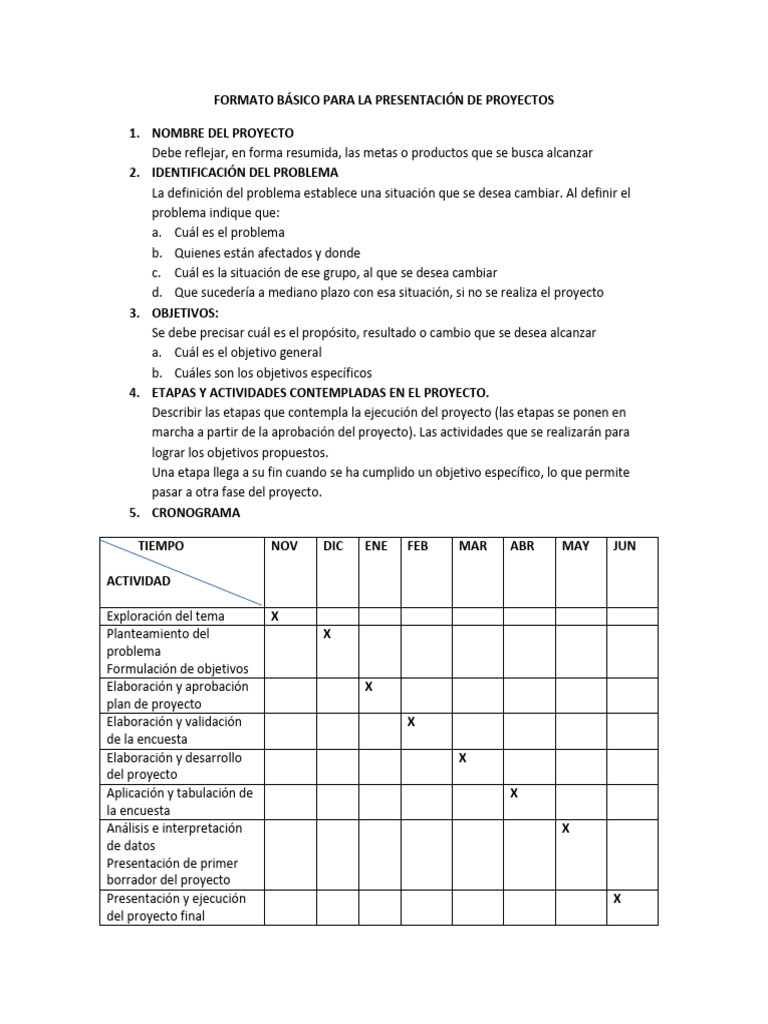 Formato para La Presentación de Proyectos | PDF