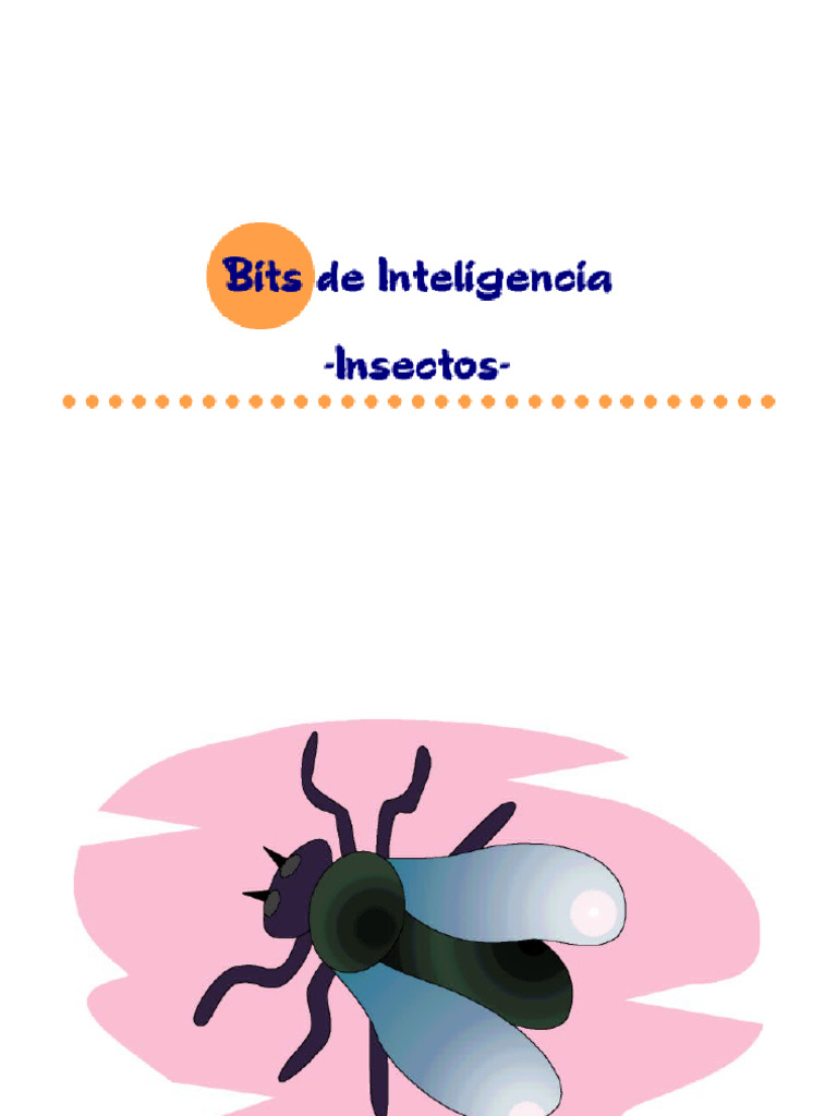 Insecto S | PDF
