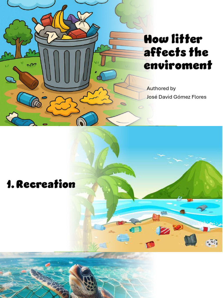 How Litter Affects The Enviroment.s | PDF