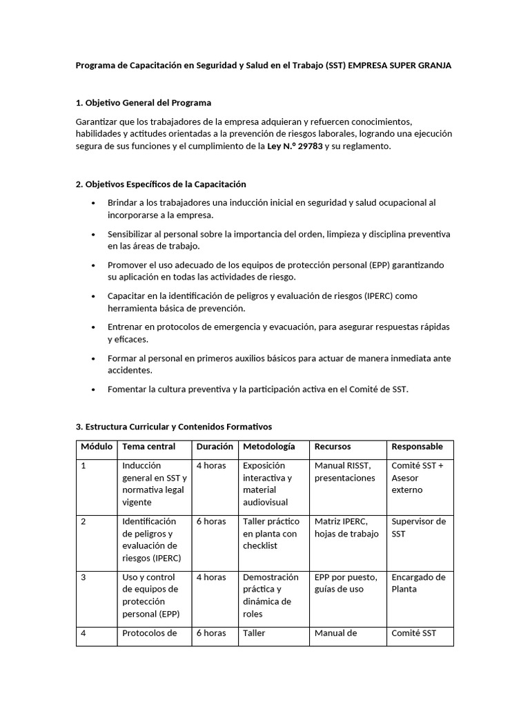 Capacitación en Seguridad Laboral SST | PDF | Seguridad y salud ocupacional