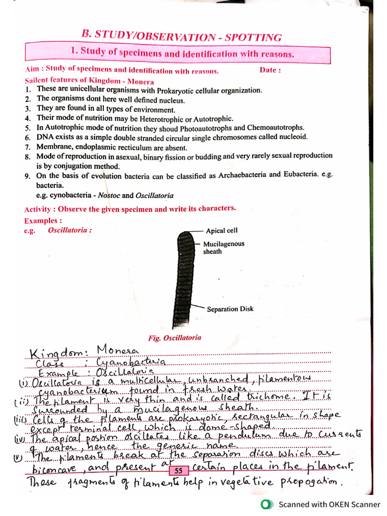 Study of Specimen and Identification With Reasons | PDF