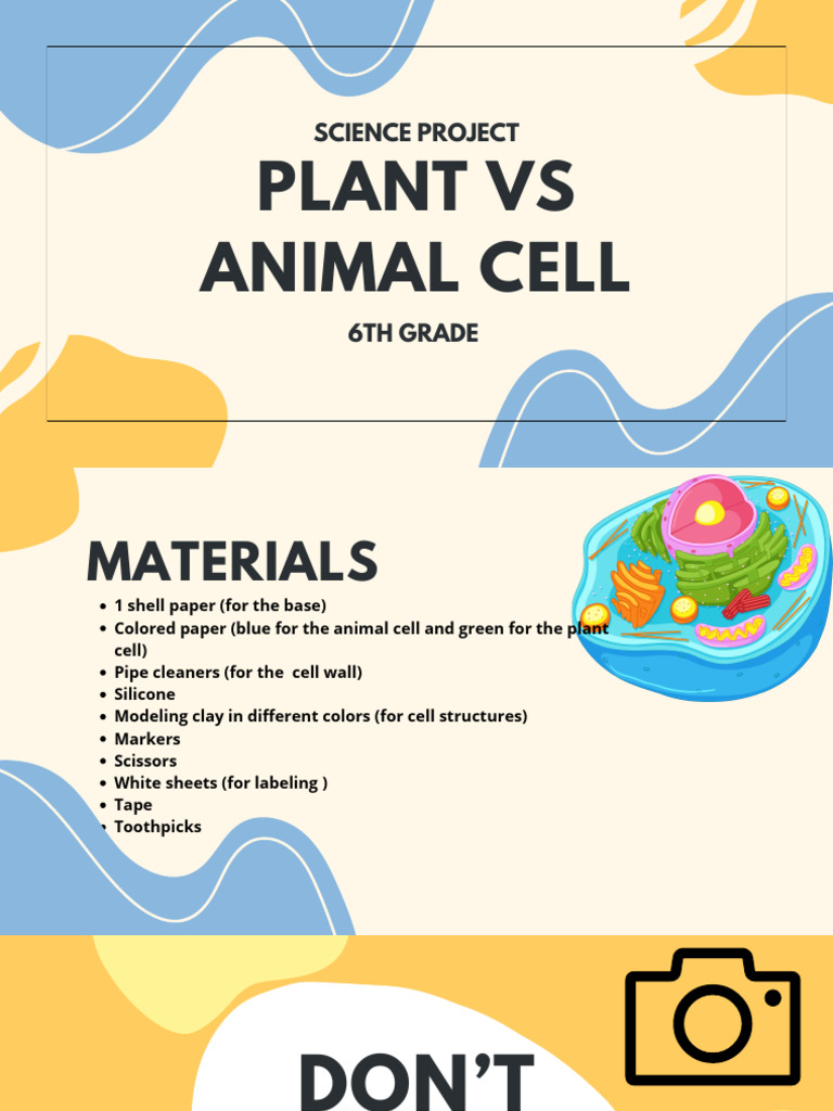 6th Grade Plant vs Animal Cell Project | PDF | Cell (Biology) | Cytoplasm
