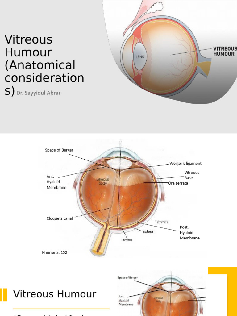 DR Sajib Genesis Vitreous Anatomy | PDF | Ophthalmology | Anatomy