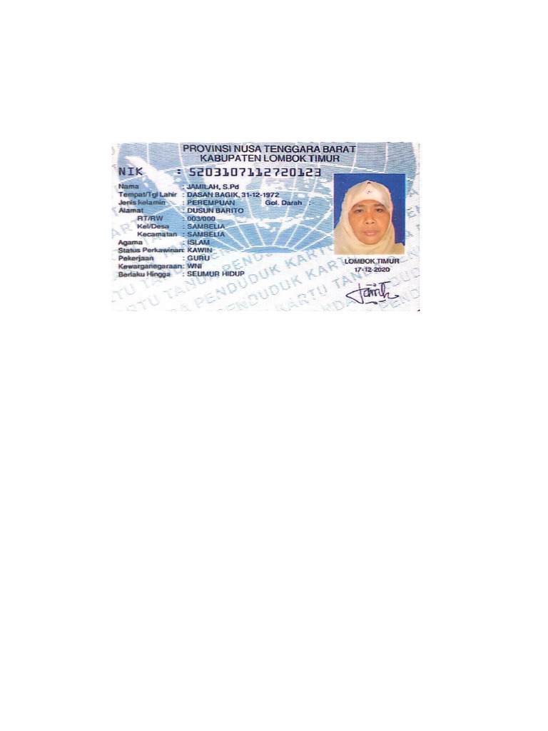KTP Dan SK PPPK | PDF