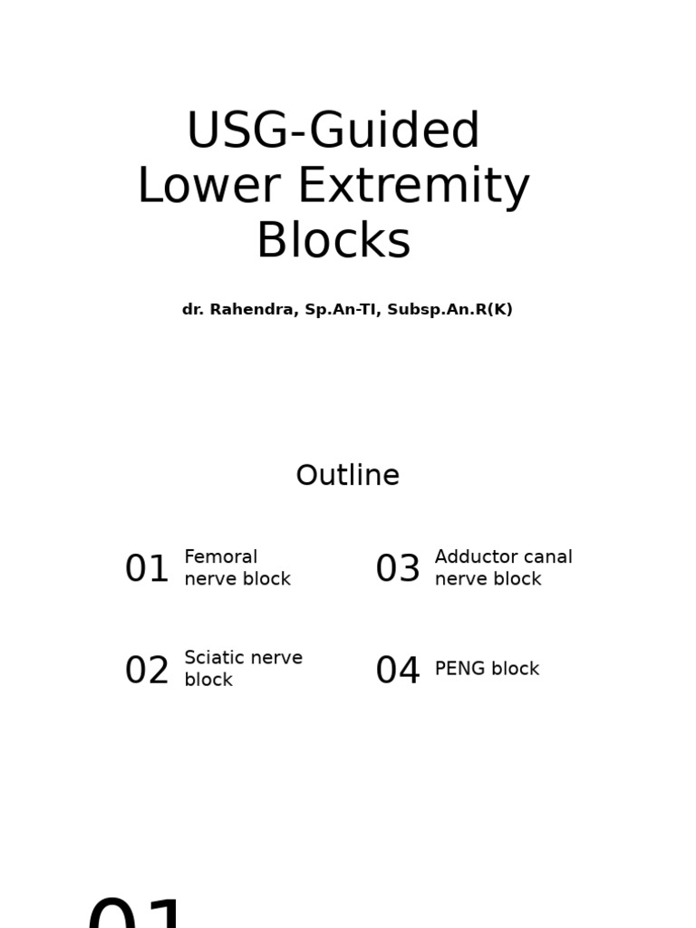 USG Lower Extremity (Femoral, Sciatic, Adductor Canal, and PENG Block ...