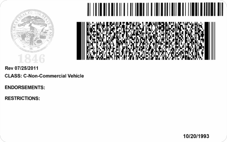 DL Back | PDF