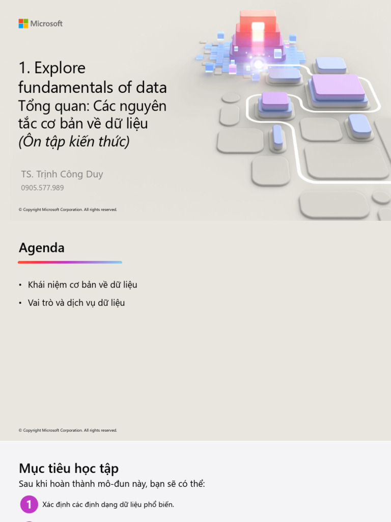 Explore Fundamentals of Data | PDF