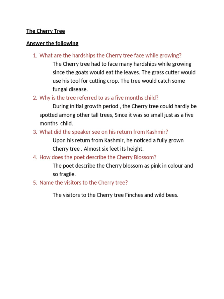 The Growth Journey of a Cherry Tree | PDF