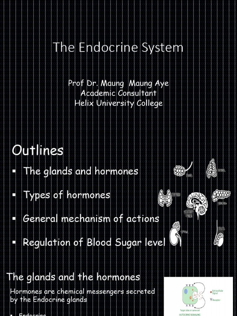 Overview of the Endocrine System | PDF | Hormone | Endocrine System
