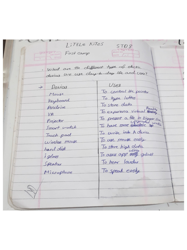 Little Kites Notes | PDF