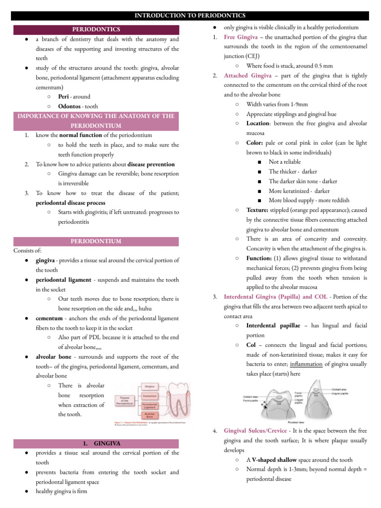 Period1 Transes | PDF | Human Tooth | Periodontology