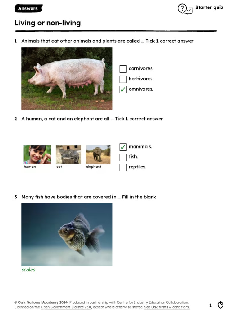 Living vs Non-Living Starter Quiz | PDF | Reptile | Zoology