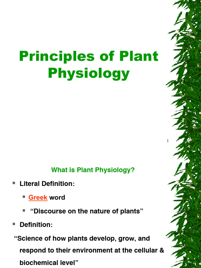 Understanding Plant Physiology Basics | PDF | Photosynthesis | Osmosis