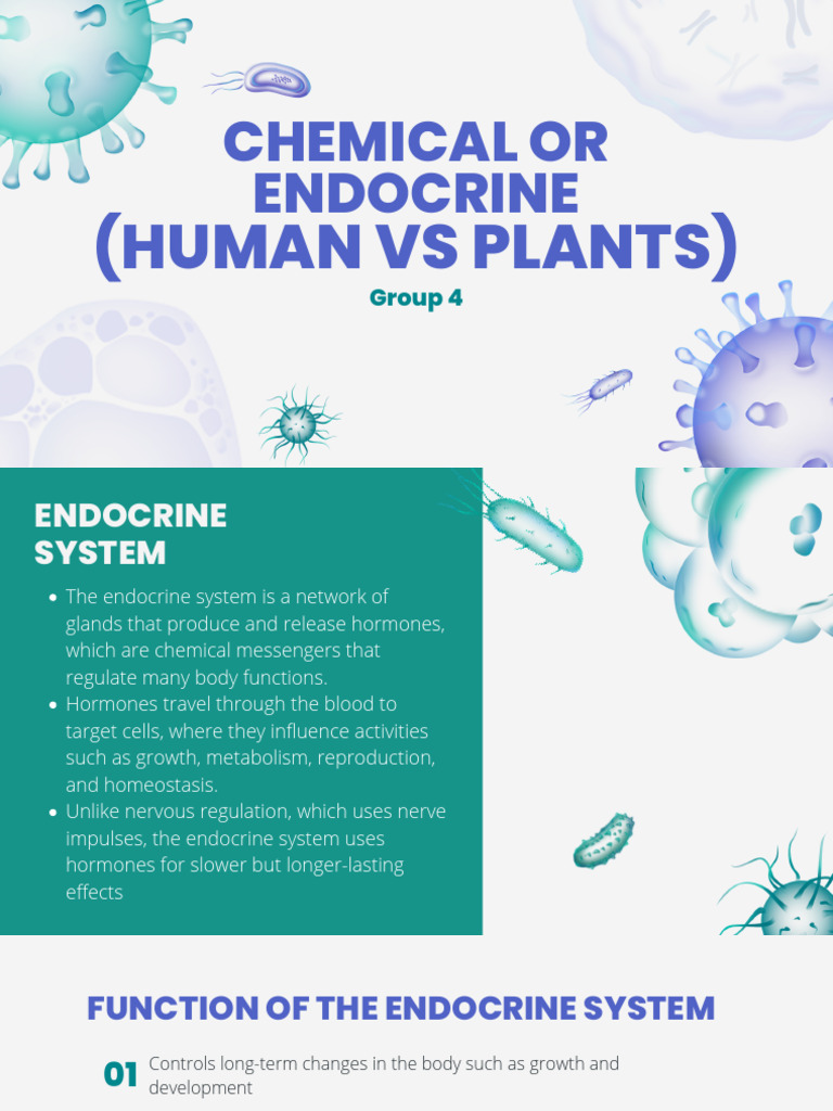Chemical or Endocrine Systems in Human VS Plants | PDF | Endocrine ...