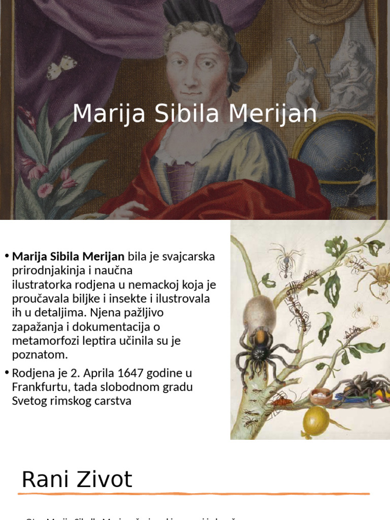 Maria Sibila | PDF