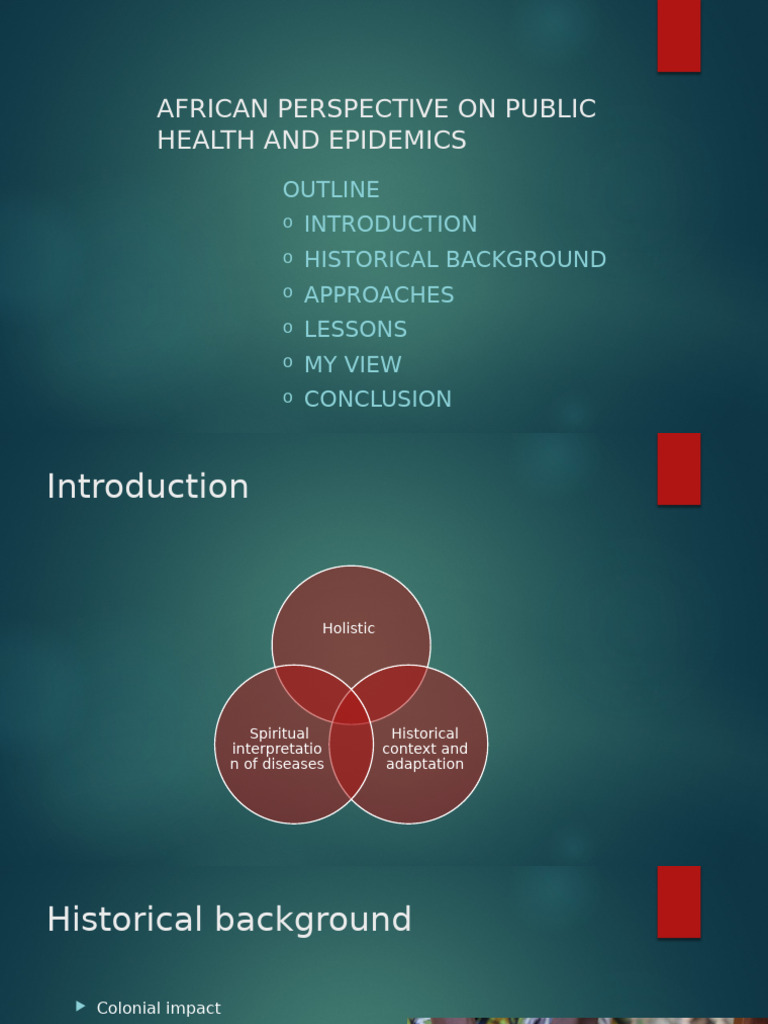 African Perspective On Public Health and Epidemics | PDF