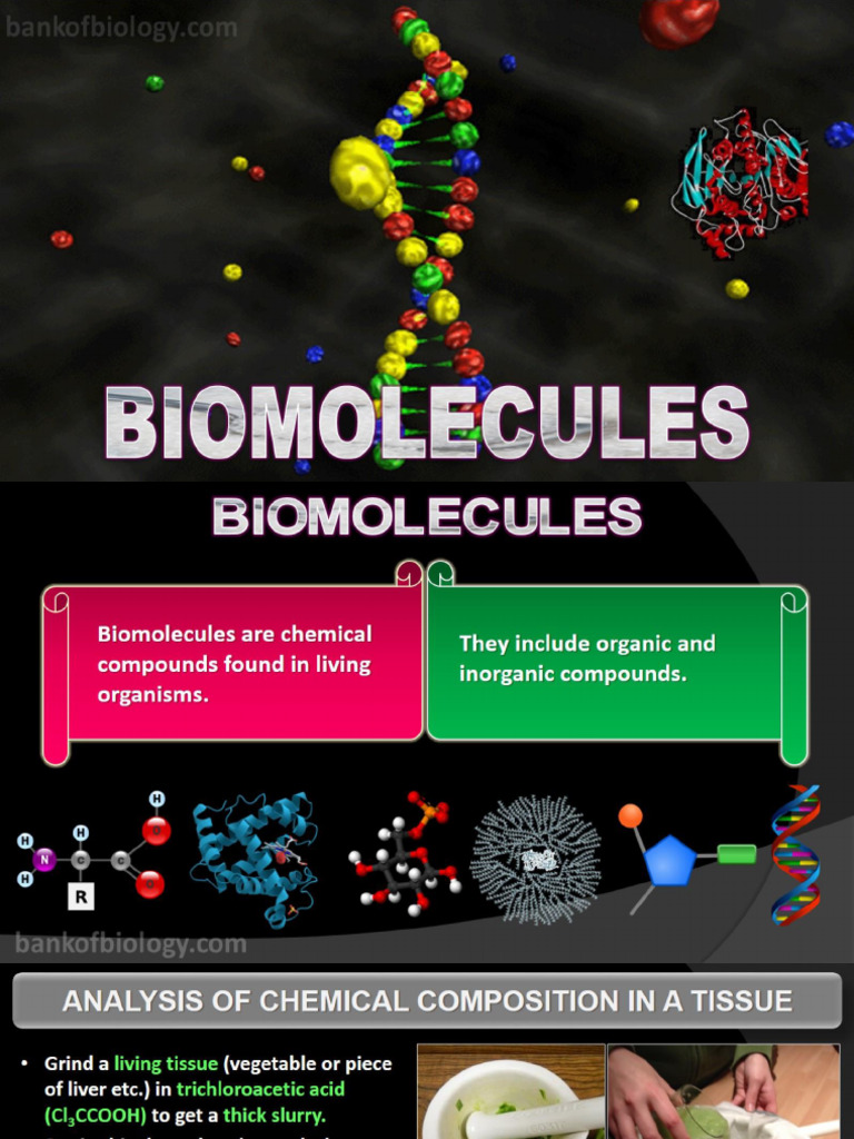 Ch. 9 Biomolecules | PDF