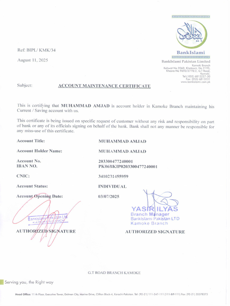 Mohsin Ali Bank Statement | PDF