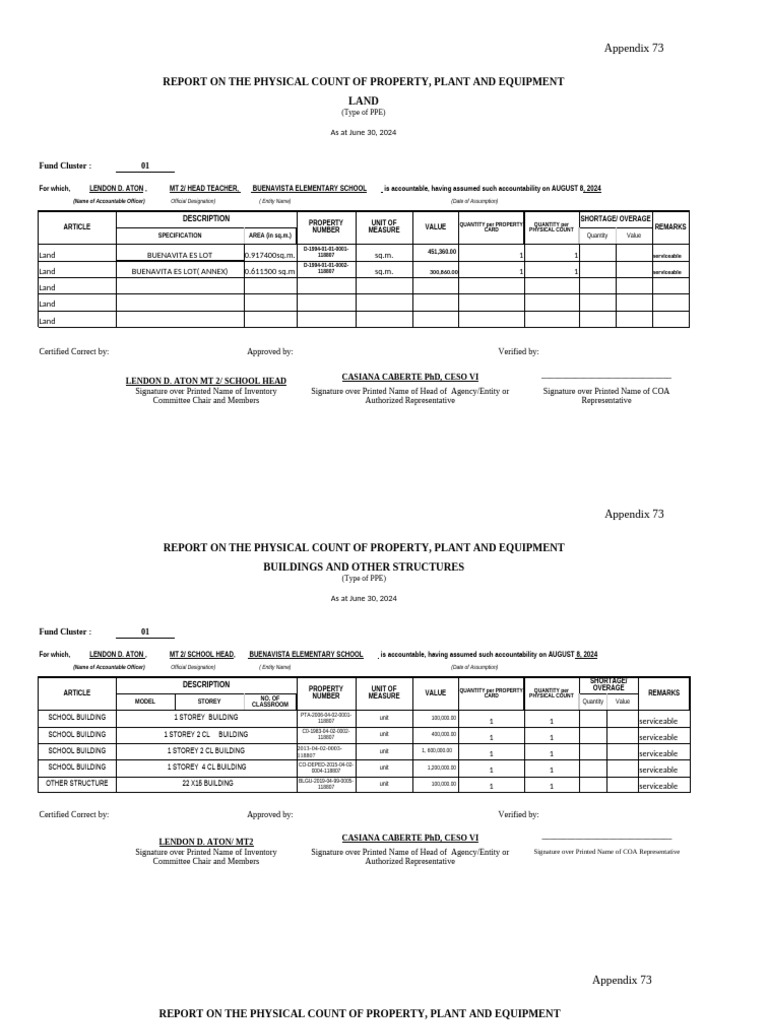 Buenavista Es - Rpcppe 2024 New Form | PDF