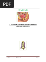 Partes de la Salpinge y Anatomía Asociada | PDF | Ovario | Pelvis