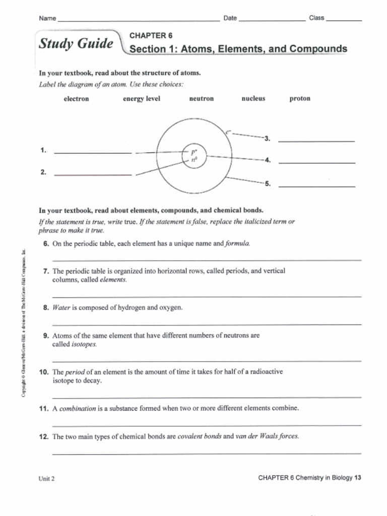 Biology CH 6 Packet | PDF