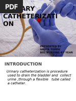 Intermittent Straight Catheterization Guide | PDF | Medical Specialties ...