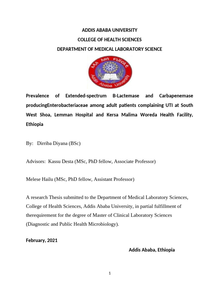 Dirriba Theisis Final | PDF | Beta Lactamase | Antimicrobial Resistance