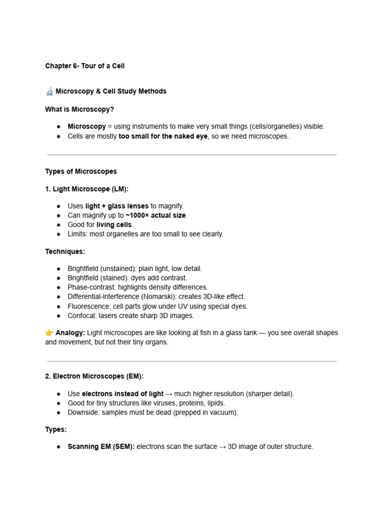 Chapter 6 - Tour of A Cell | PDF | Endoplasmic Reticulum | Cell (Biology)