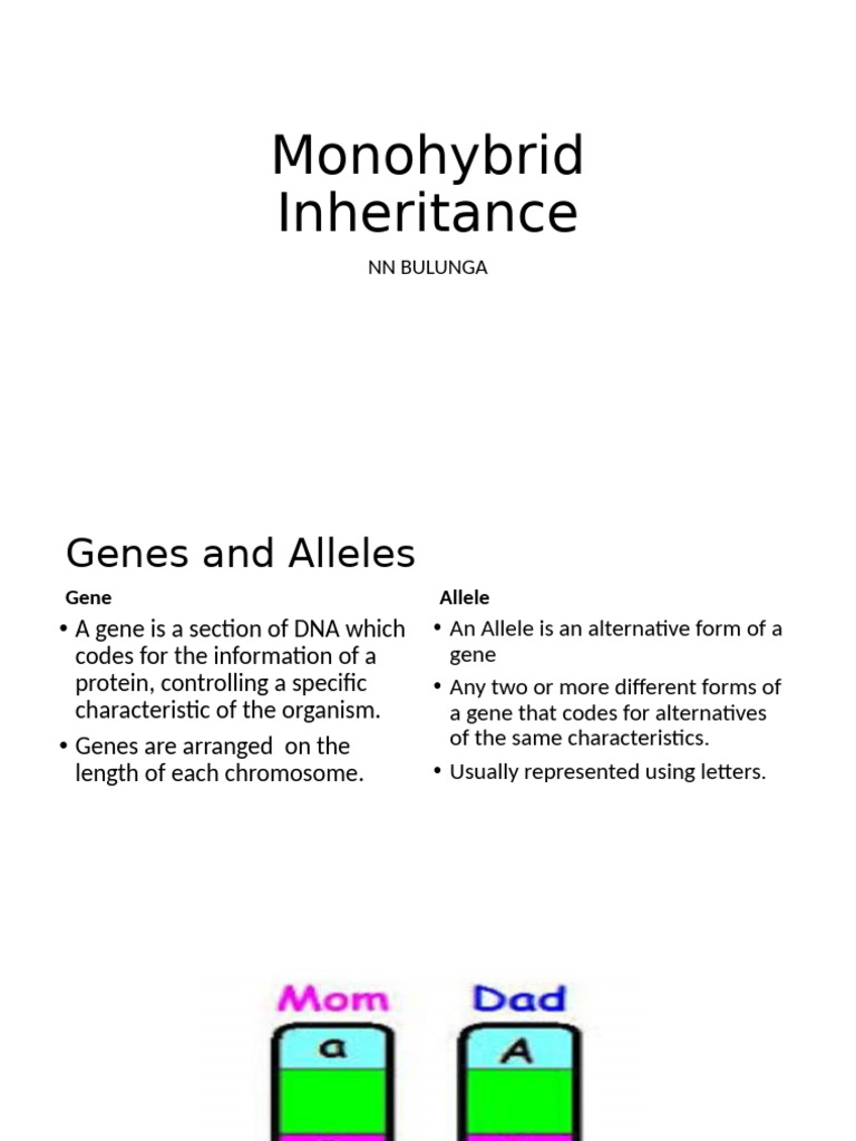 Chapter 25 - Monohybrid Inheritance | PDF | Dominance (Genetics) | Genotype