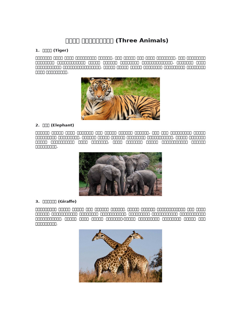 Animals | PDF