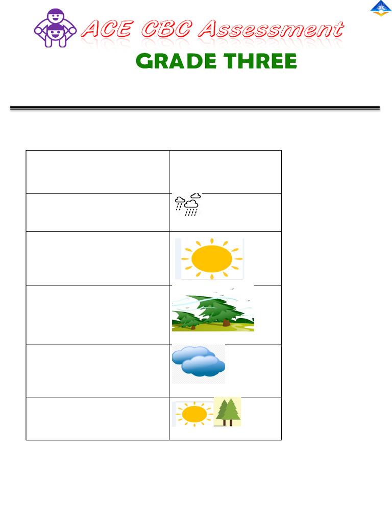 Grade 3 Environmental Activities PDF | PDF