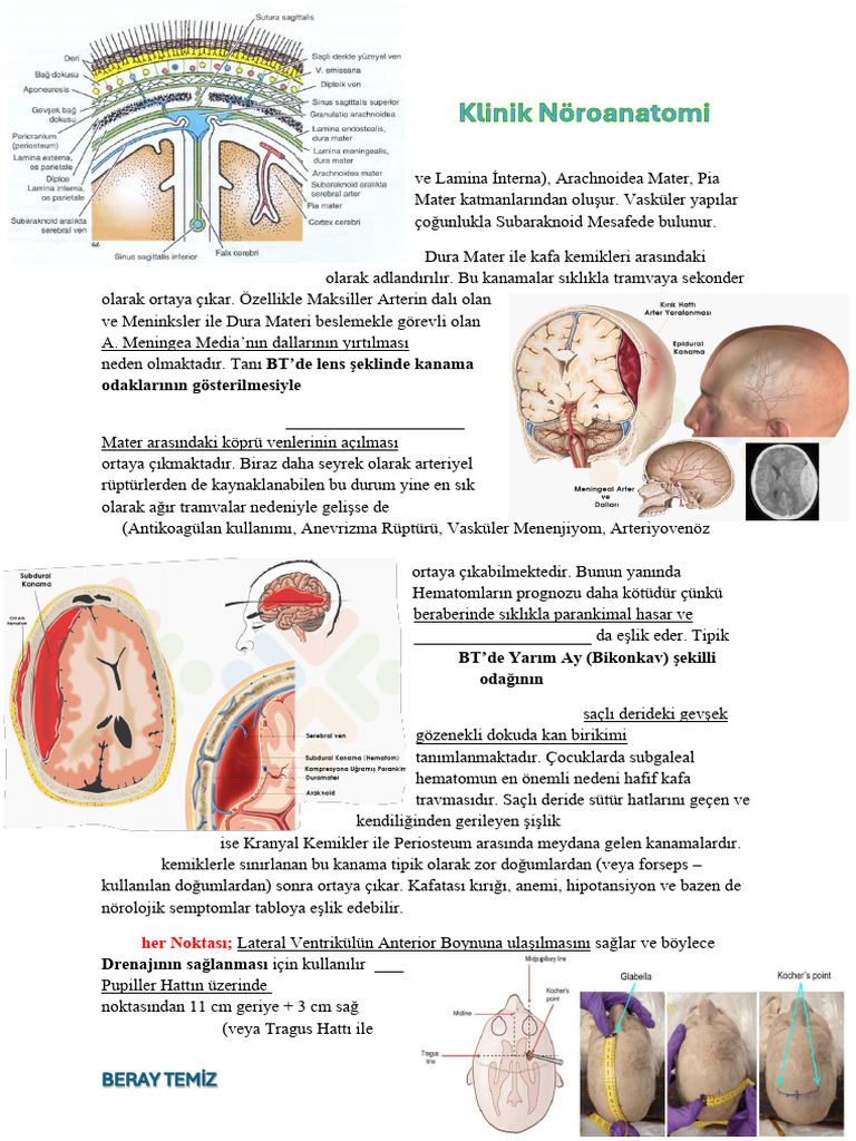 Nöroşiruji Full Not | PDF