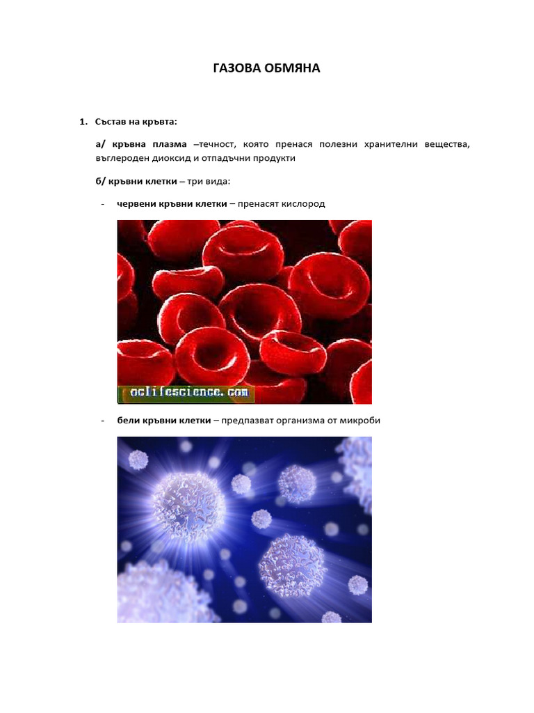 CHP 5 6 Klas Milena Popova Gazova Obmiana | PDF