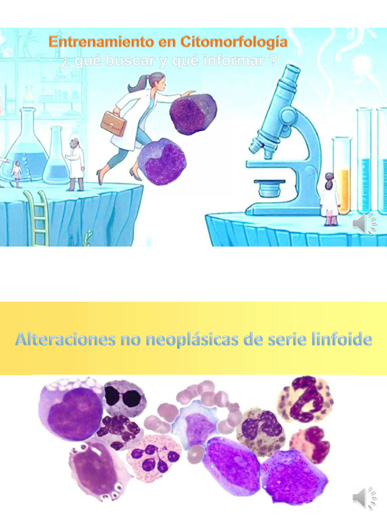 Clase 4 - Citomorfologia en Alteraciones No Neoplasicas en Serie ...