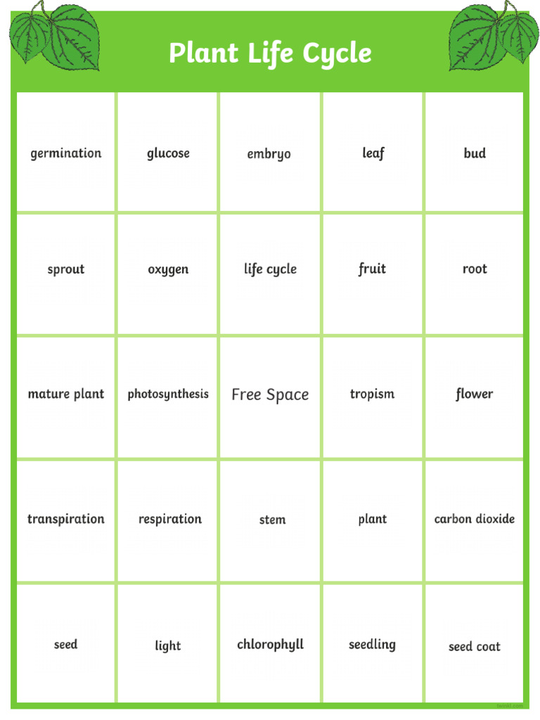Color Bingo Cards Plant Life Cycle Bingo For 3rd-5th Grade | PDF