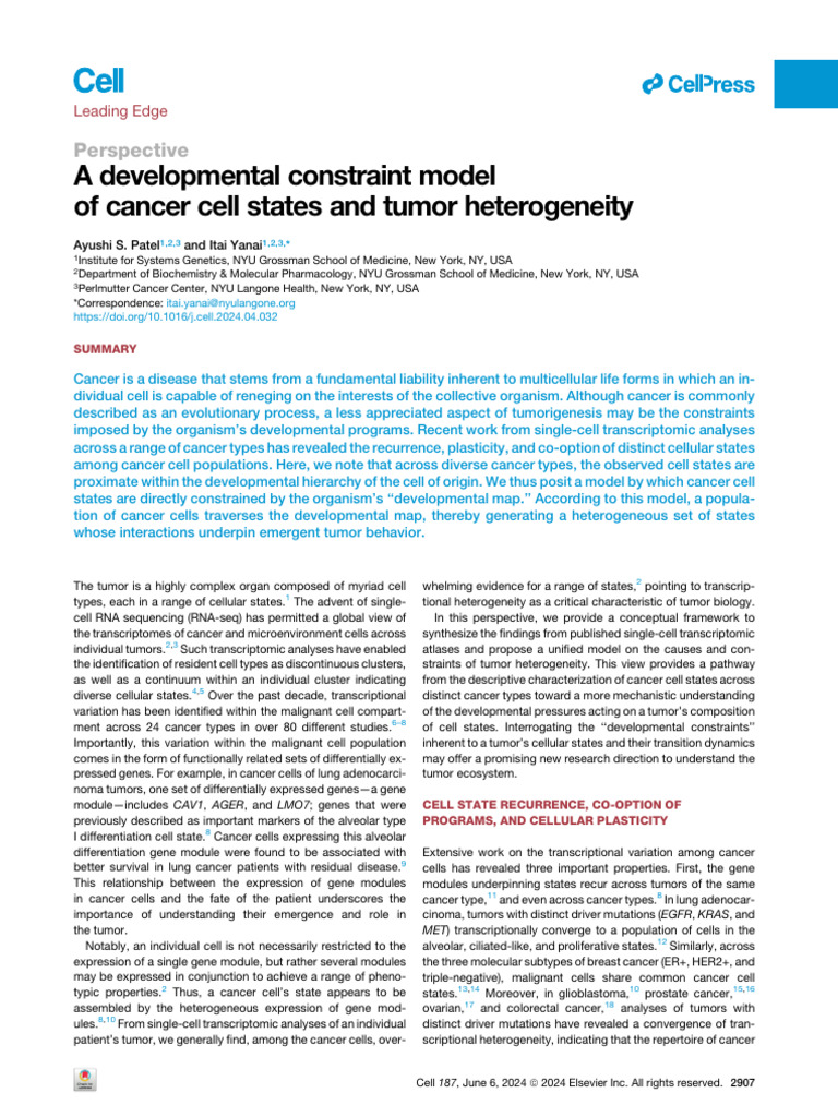 A Developmental Constraint Model of Cancer Cell States and Tumor ...