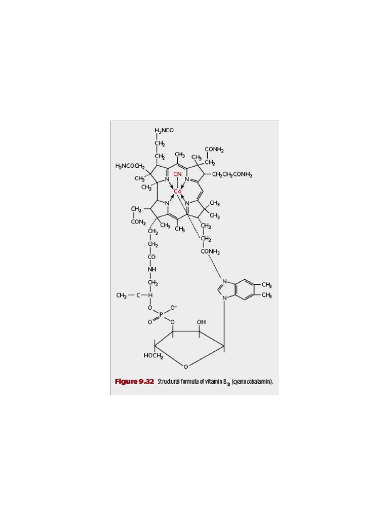 Vitamin B12: Structure, Sources, and Functions | PDF | Vitamin B12 ...