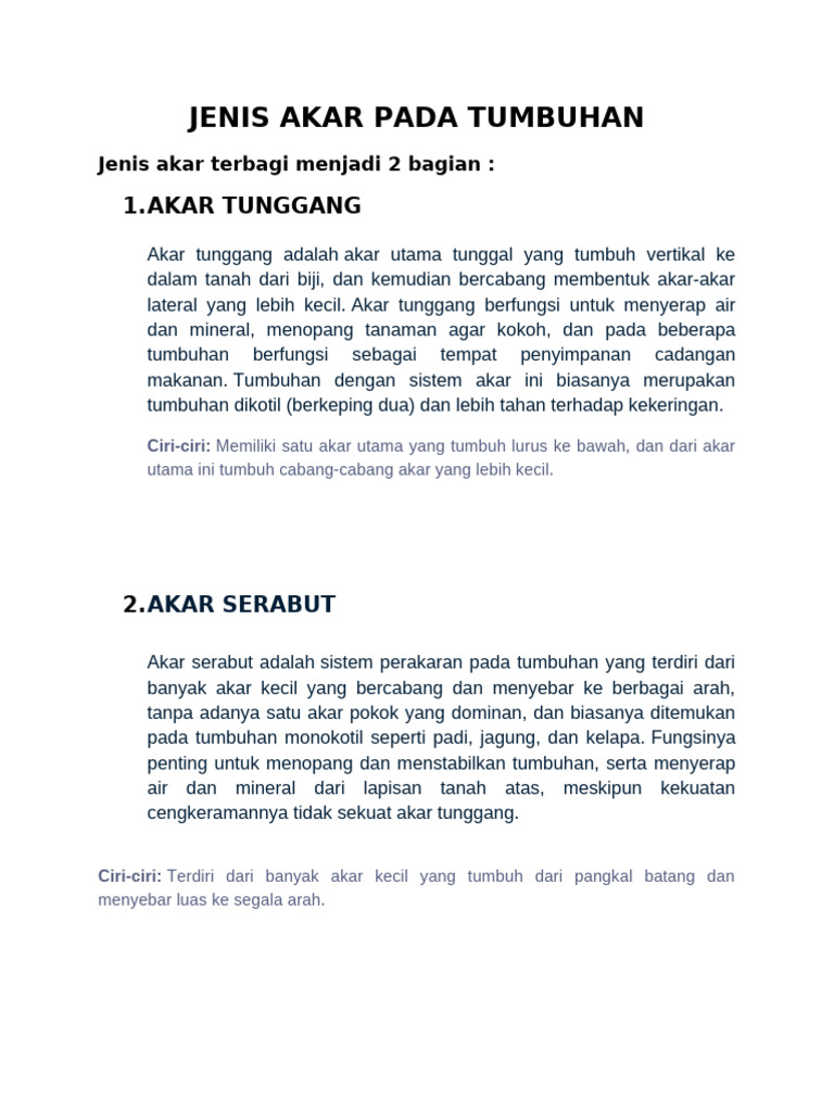 Jenis Akar Pada Tumbuhan | PDF