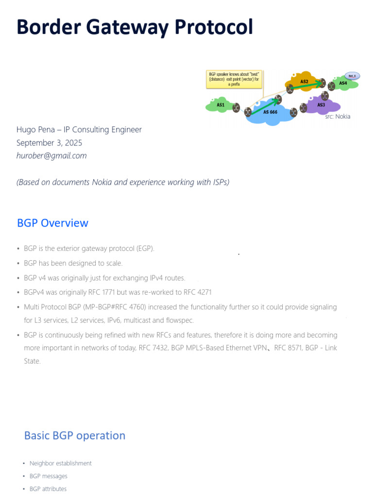 BGP Lovers | PDF | Internet | Computer Engineering