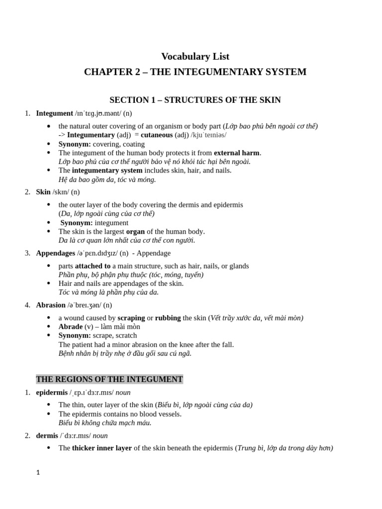 Vocabulary List - The Integumentary System | PDF