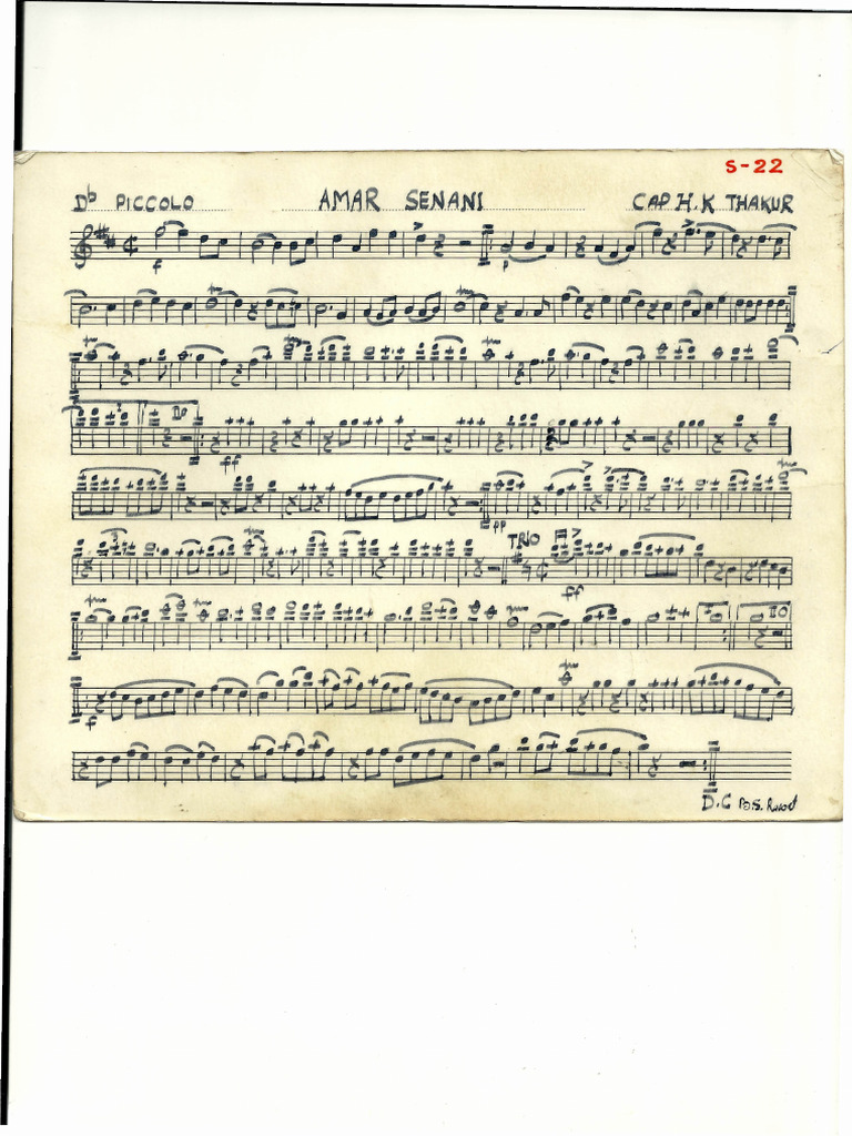 Amar Senani QM DB Piccolo | PDF