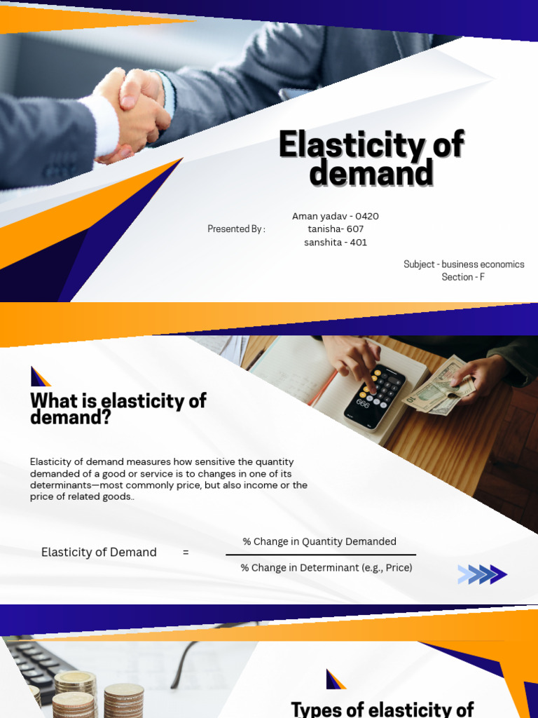 Elasticity of Demand Project 0420,607,401 | PDF | Price Elasticity Of ...