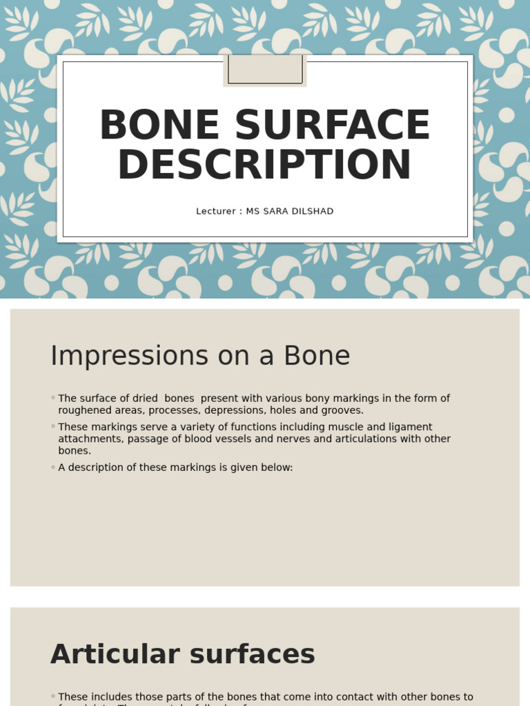Bone Surface Description and Skeletal System | PDF | Musculoskeletal ...